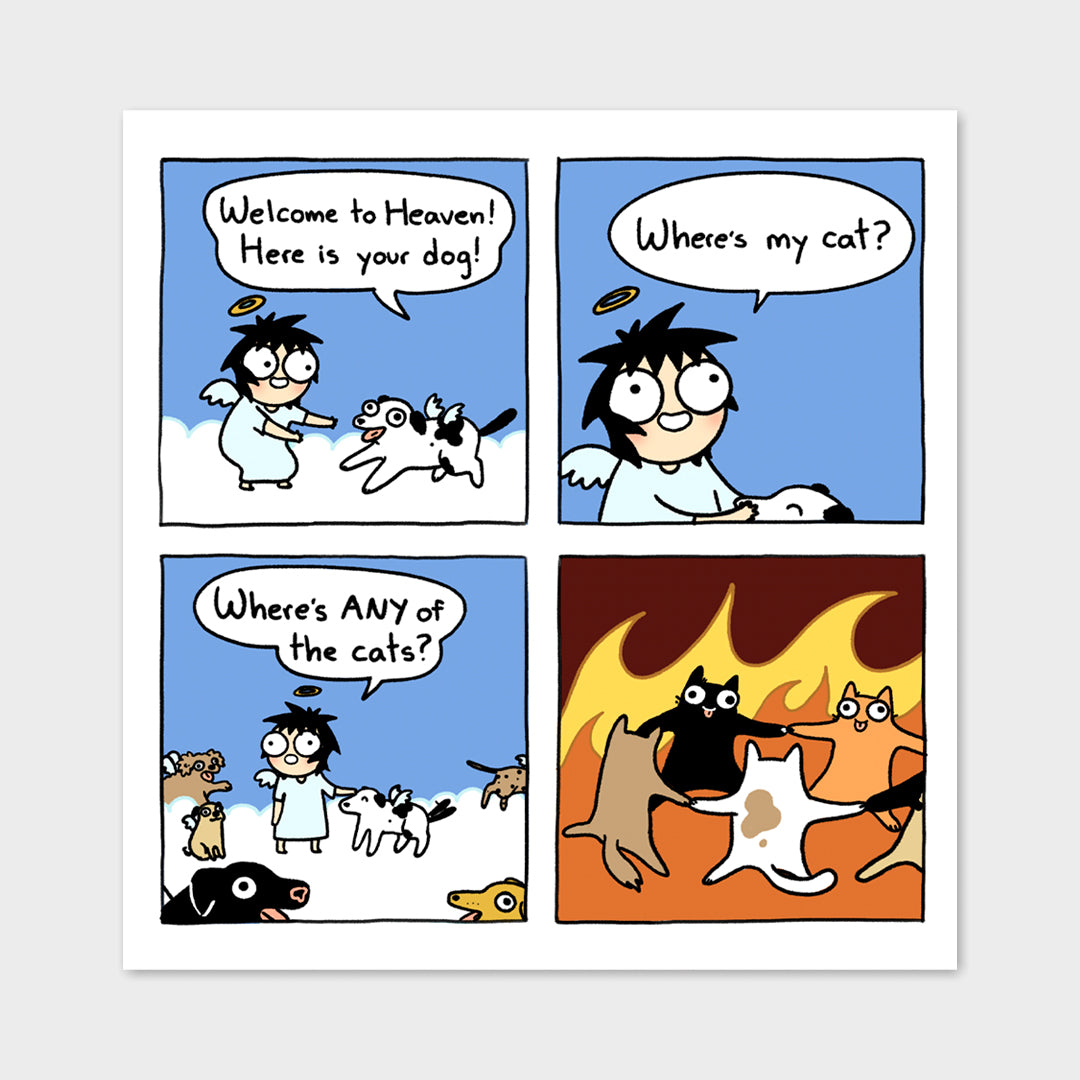 Where is my cat? - Sarah Andersen